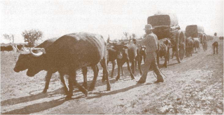 Our Story - H. Yturria Ranch Mercantile