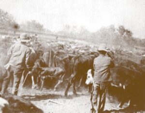 Our Story - H. Yturria Ranch Mercantile